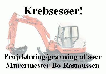 Danmarks krebseavlerforening - opdræt af flodkrebs